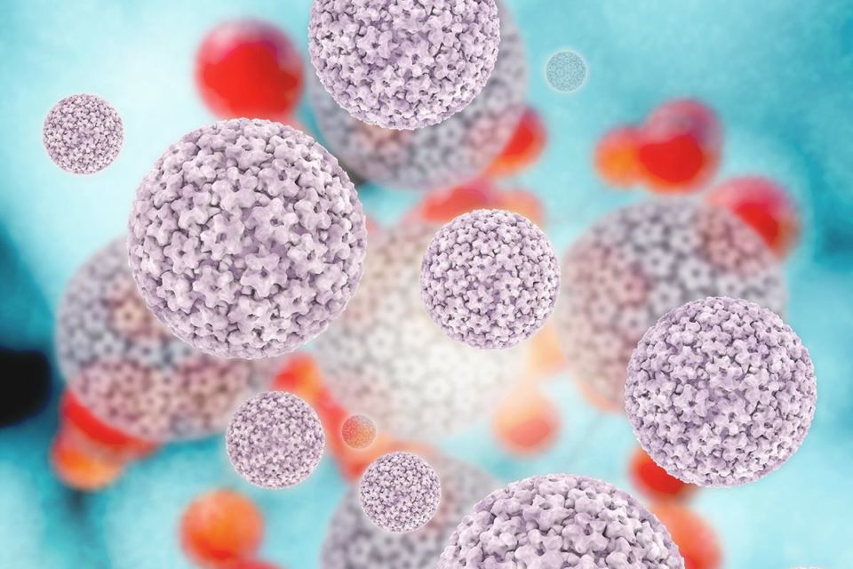 Peniskrebs / Peniskarzinom - Ursachen, Behandlung | KSW